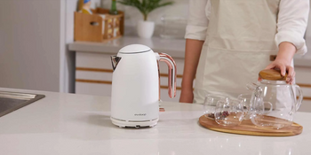 Comprehensive Guide: Small Kitchen Appliance Manufacturer – evoloophome